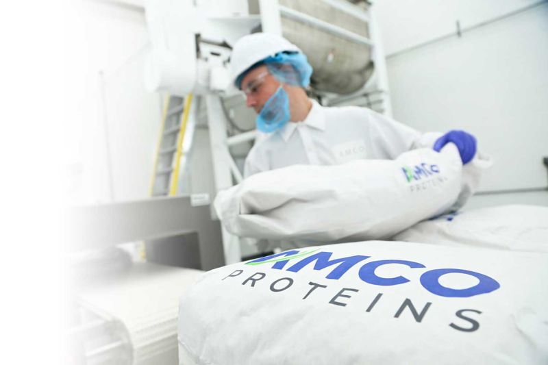 AMCO Proteins | Dairy & Plant Protein Manufacturer and Supplier